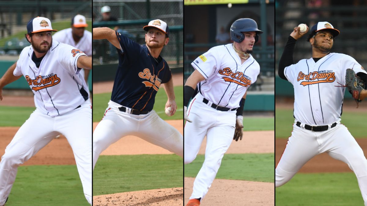 Down East BirdDawgs | Bird Dawgs Player Spotlight: Martinez, O’Brien ...